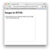 How to use in image and padding in CSS? - DevOps | SRE | DevSecOps